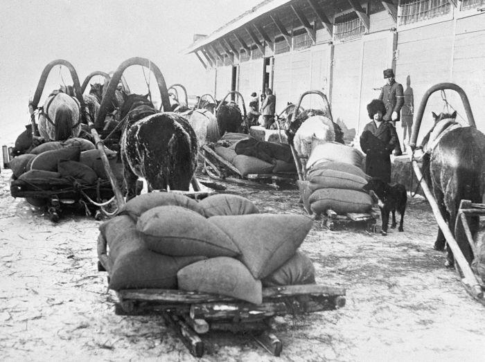 1917 Revolution food requisitioning & state grain monopoly - Revolution ...